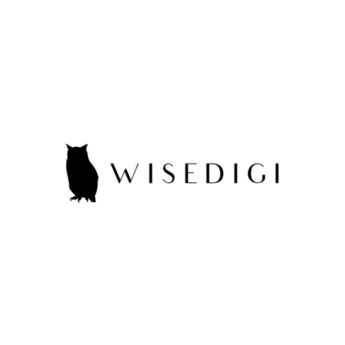 WiseDigi Oy - Logomo
